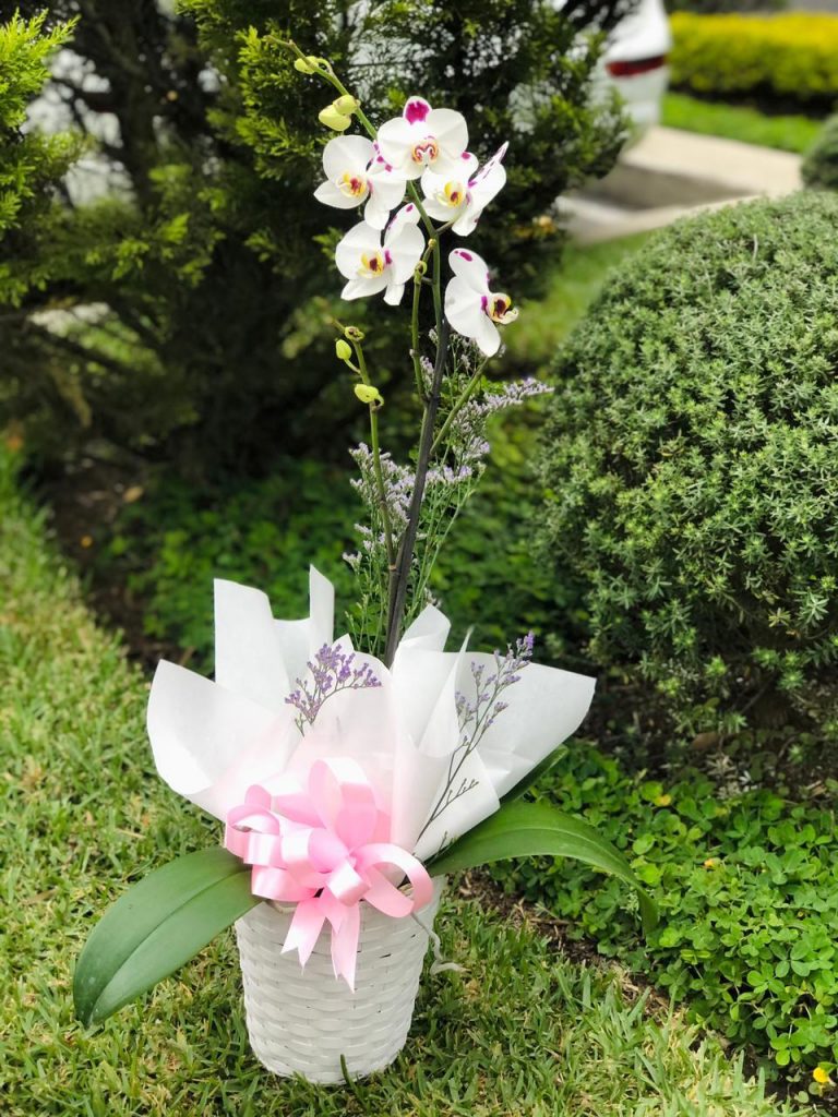 Ramo de rosas en base de vidrio